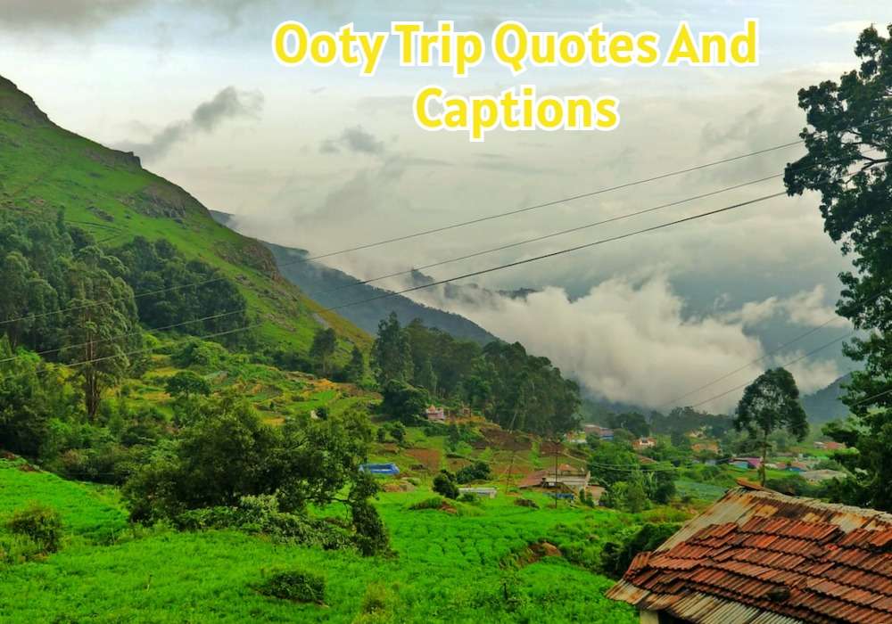Instagram Ooty instagram-ooty